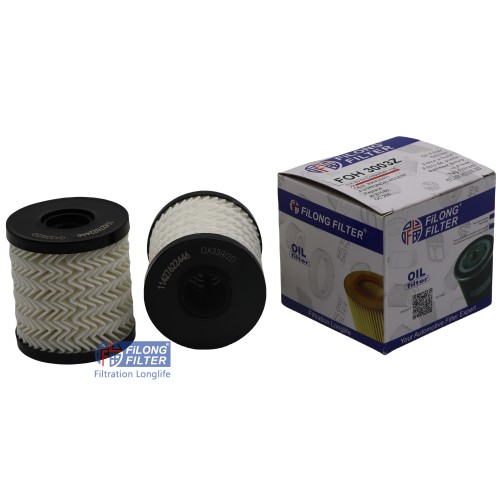 -FILONG ( China ) Automotive Group Limited