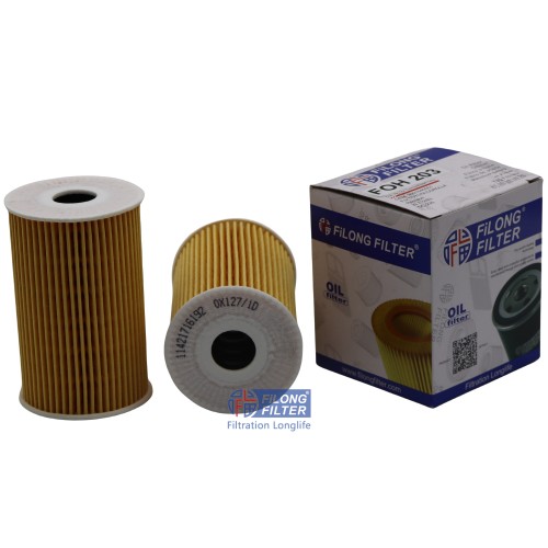 -FILONG ( China ) Automotive Group Limited