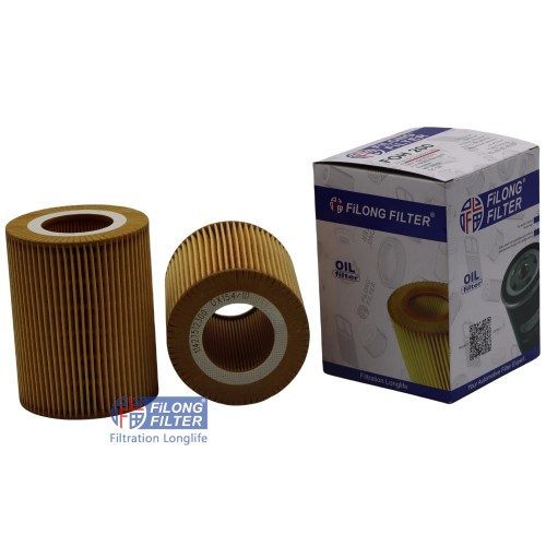 -FILONG ( China ) Automotive Group Limited