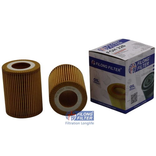 -FILONG ( China ) Automotive Group Limited