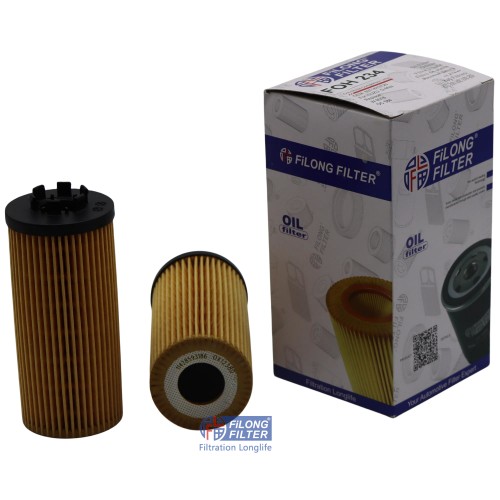 -FILONG ( China ) Automotive Group Limited