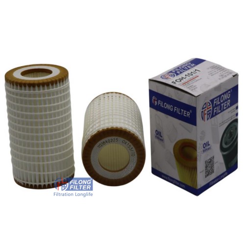 -FILONG ( China ) Automotive Group Limited