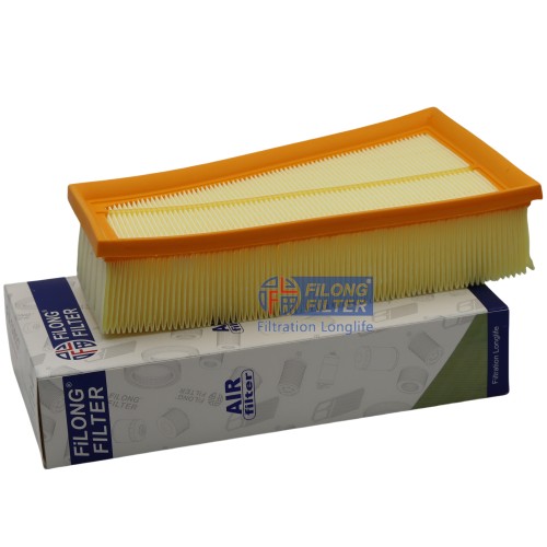 -FILONG ( China ) Automotive Group Limited