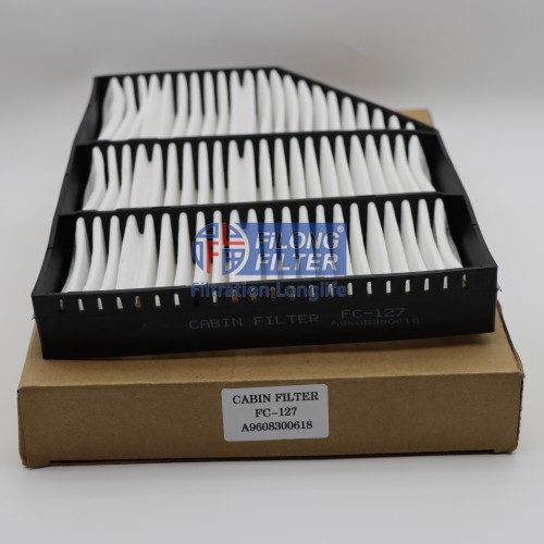 -FILONG ( China ) Automotive Group Limited